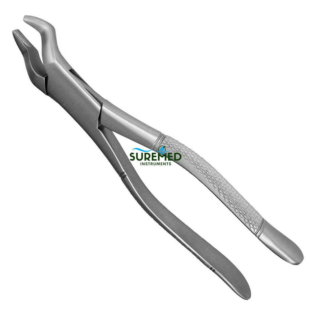 210S Universal Extraction Forceps - Strong & Easy to Use