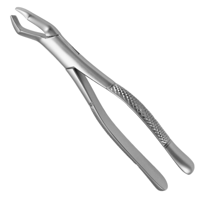 Extraction Forceps 53R - Reliable Tooth Extraction Tool