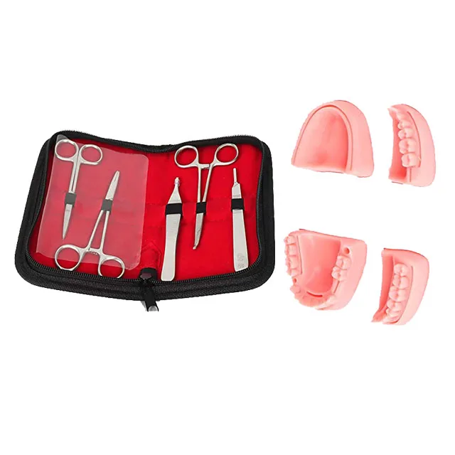 Suture Training Kit: Perfect for Skill Development
