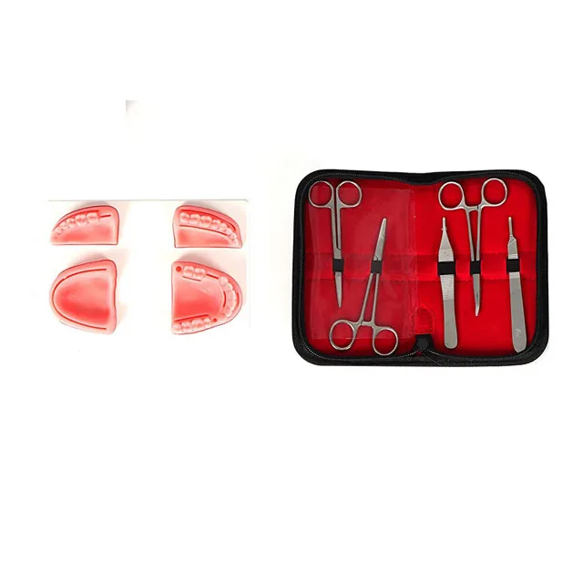 Suture Training Kit: Perfect for Skill Development