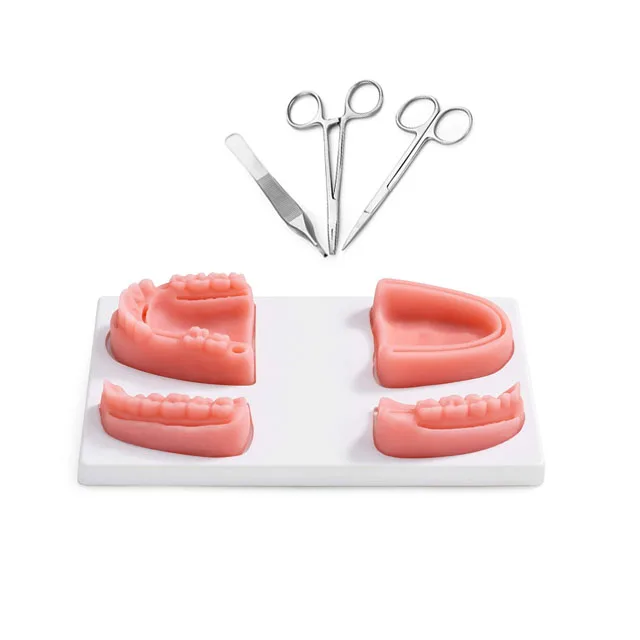 Suture Training Kit: Perfect for Skill Development