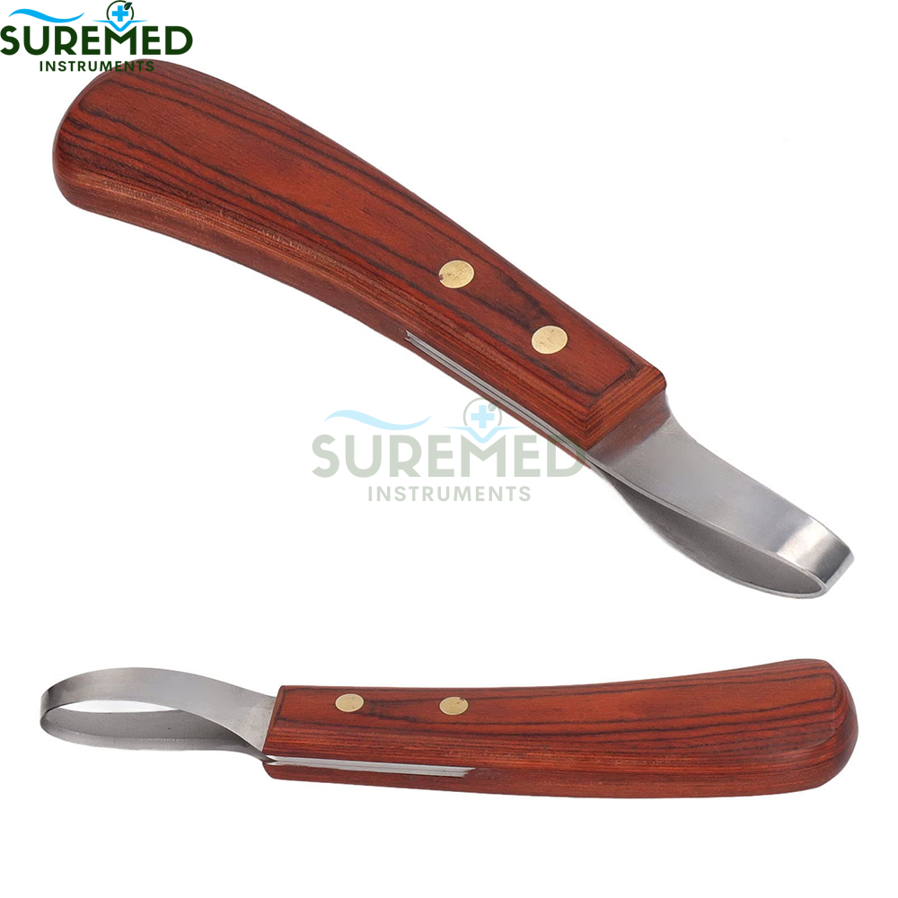 Loop Oval Hoof Knife for Precision Hoof Trimming